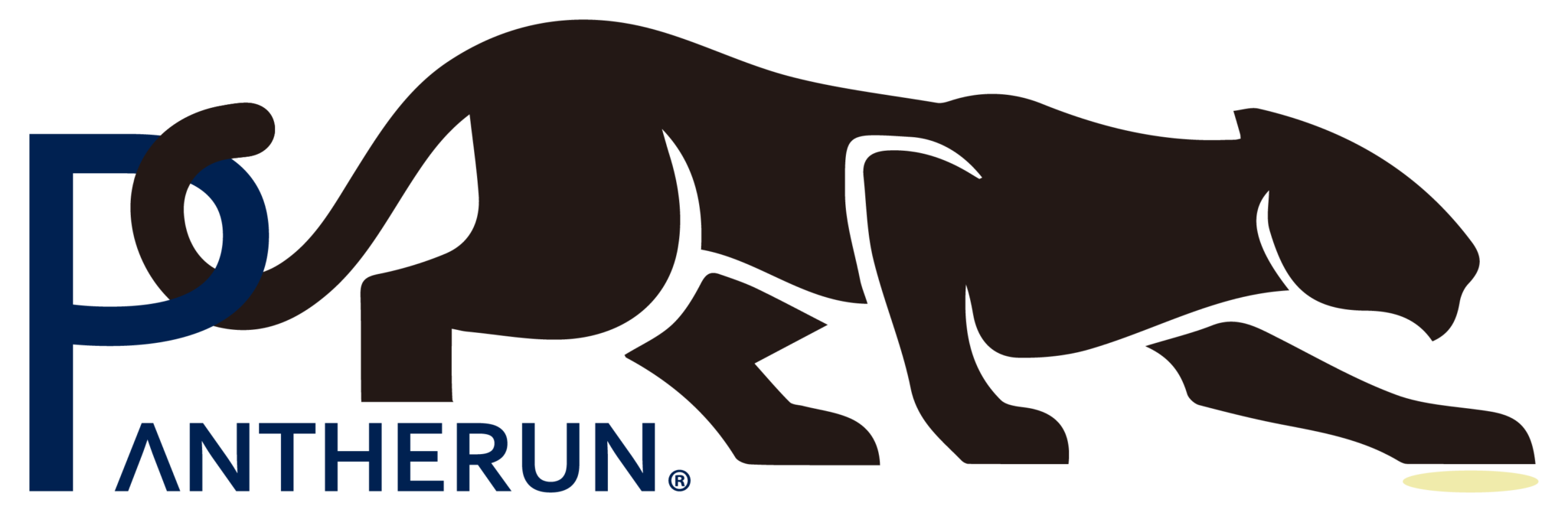 Pantherun | Cybersecurity | Encryption and Data protection