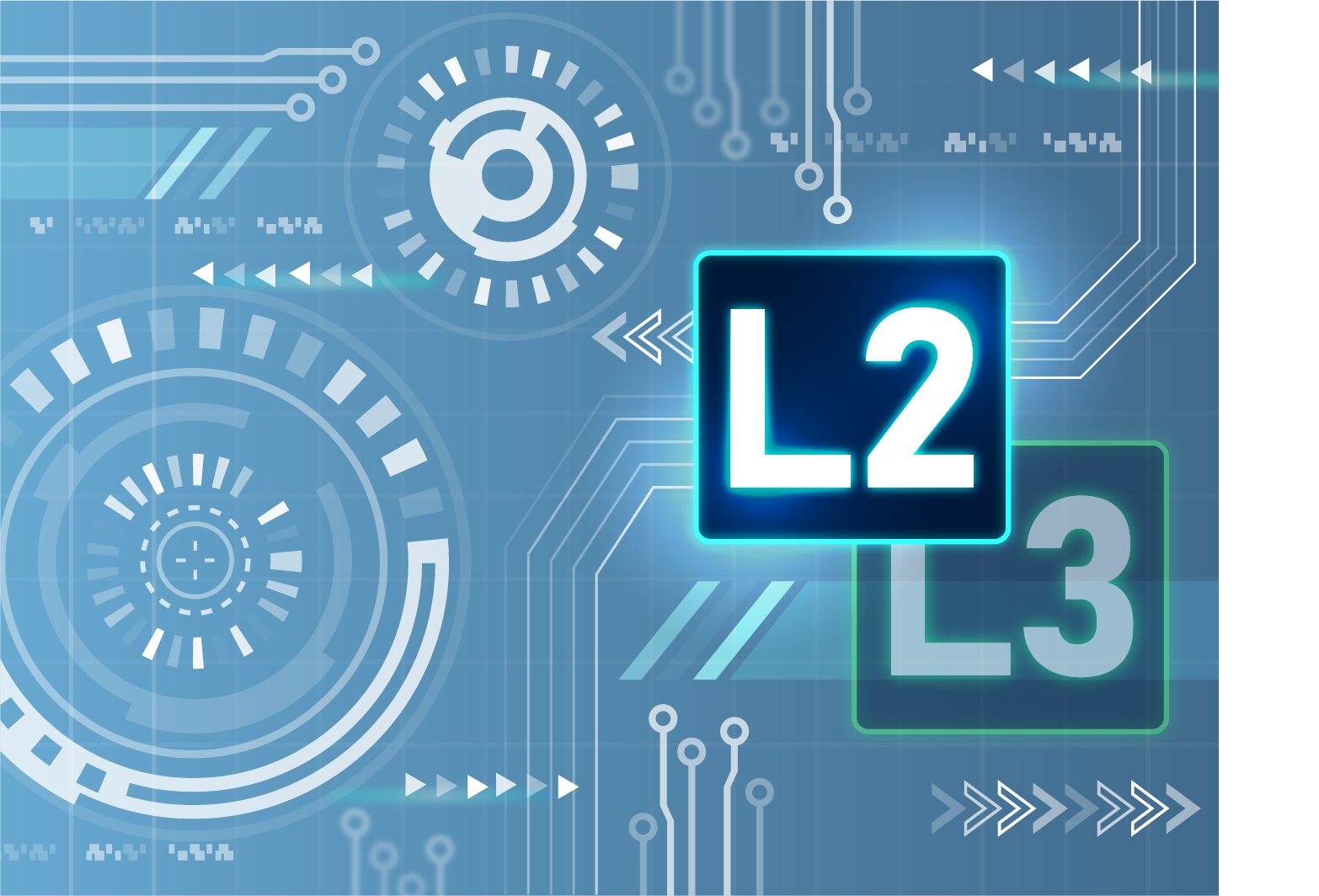 Lithe Layer 2 IP - Pantherun