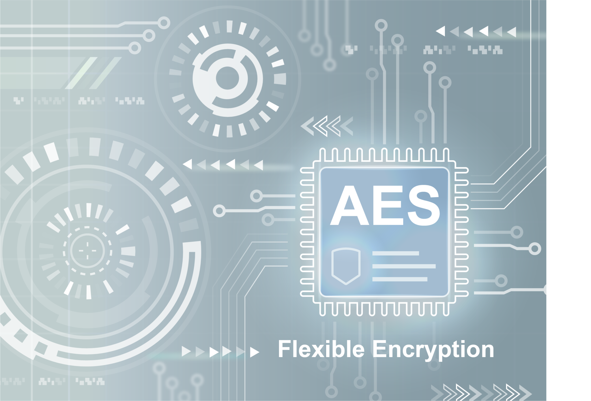 Stealth AES Encryption IP - Pantherun